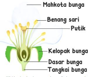 Perhatikan tabel berikut! Berdasarkan tabel ...