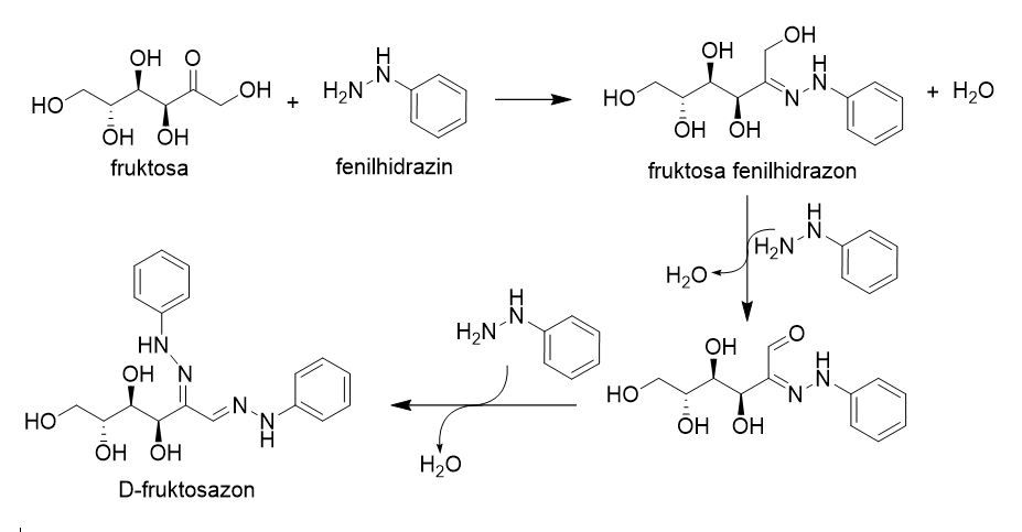 Jelaskan proses pembentukan osazon dan fungsinya