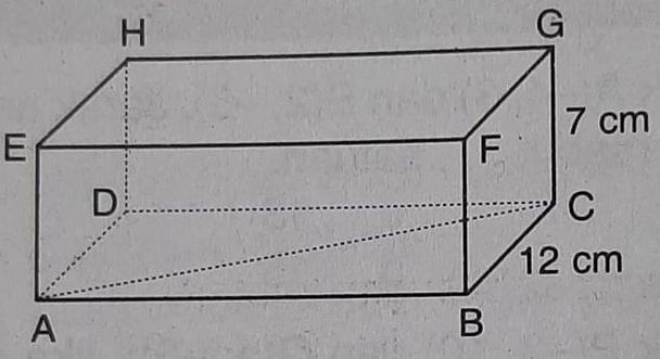 Perhatikan balok ABCD . EFGH di bawah ini. J...