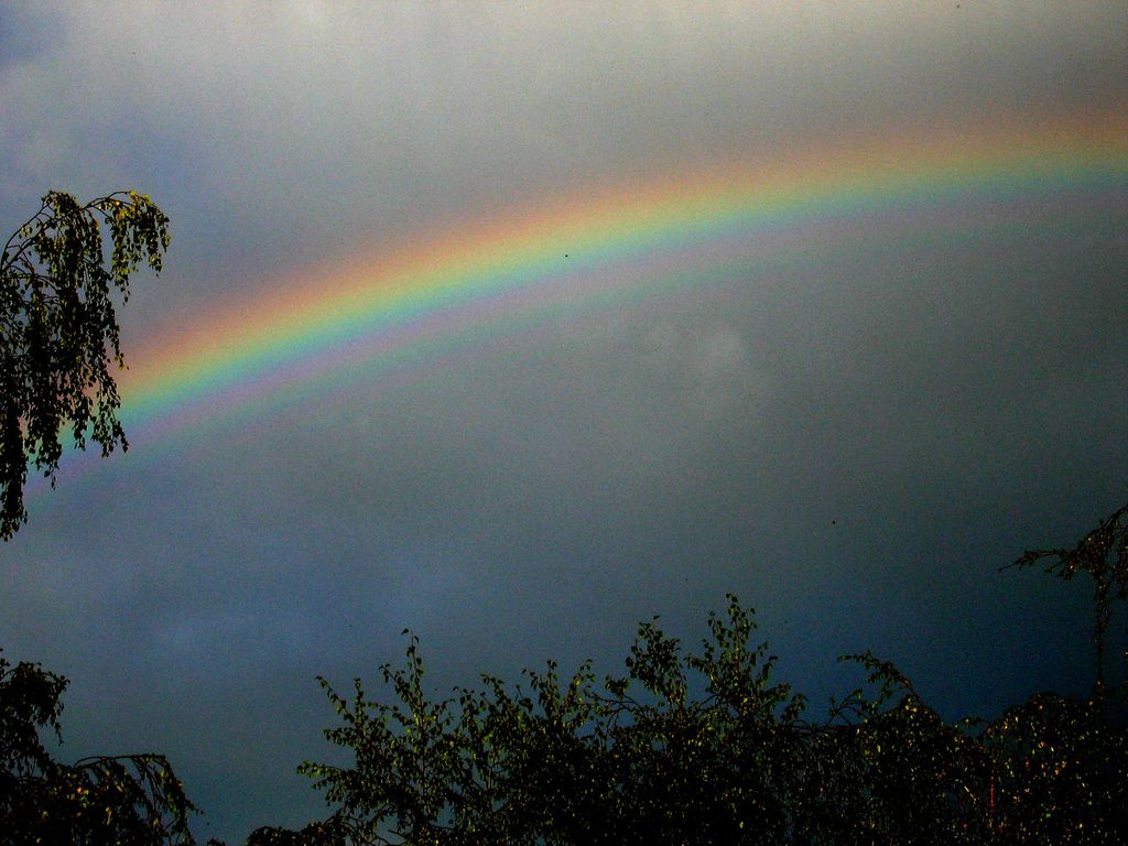 Penyebab terjadinya s upernumerary rainbows adalah...