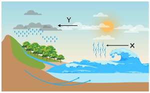 Perhatikan siklus air di bawah ini! Yang dit...