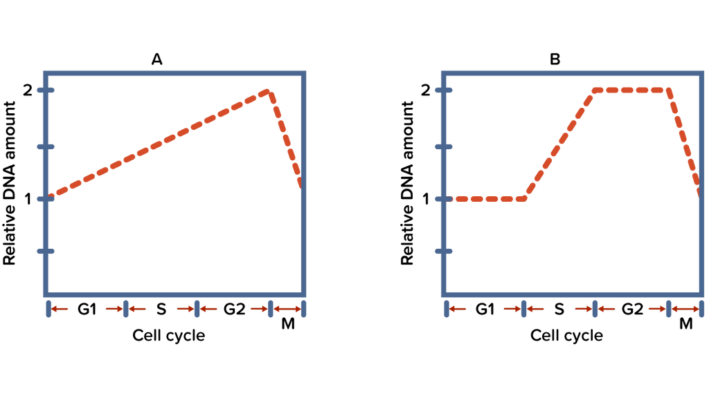 Grafik di bawah ini menggambarkan perubahan kandun...