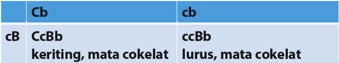 Diketahui gen dominan C menentukan sifat rambut ke...