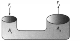 Perhatikan gambar di bawah ini! Berdasarkan ...