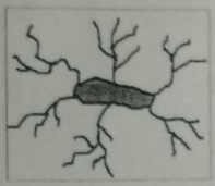 Sebutkan nama dan 3 karakteristik pola aliran sung...