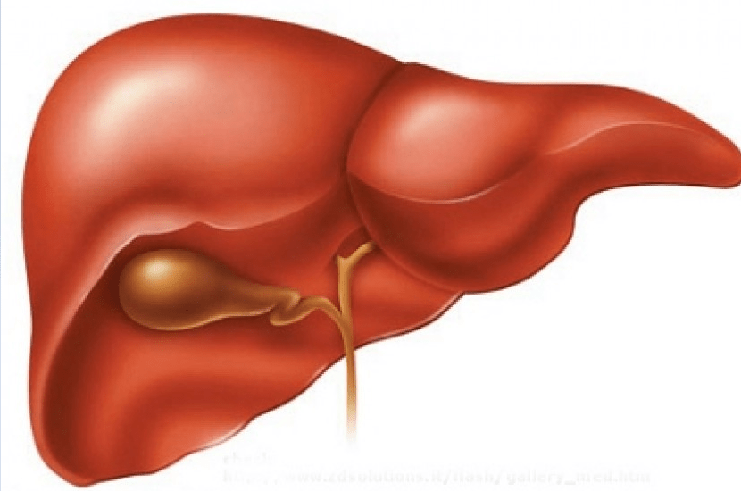 Perhatikan gambar berikut! Pernyataan yang benar t...